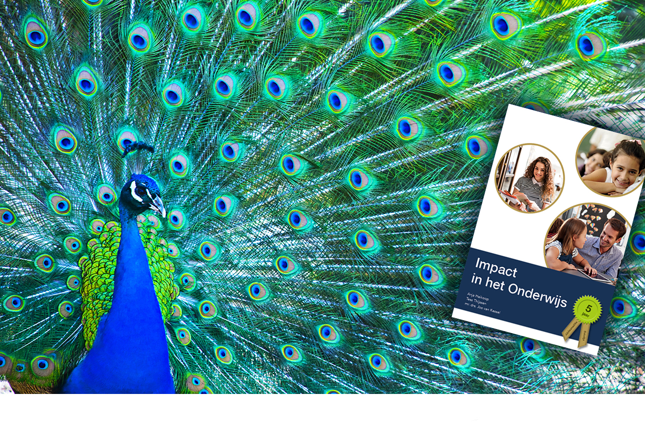 De Roddelmethode - sSprong